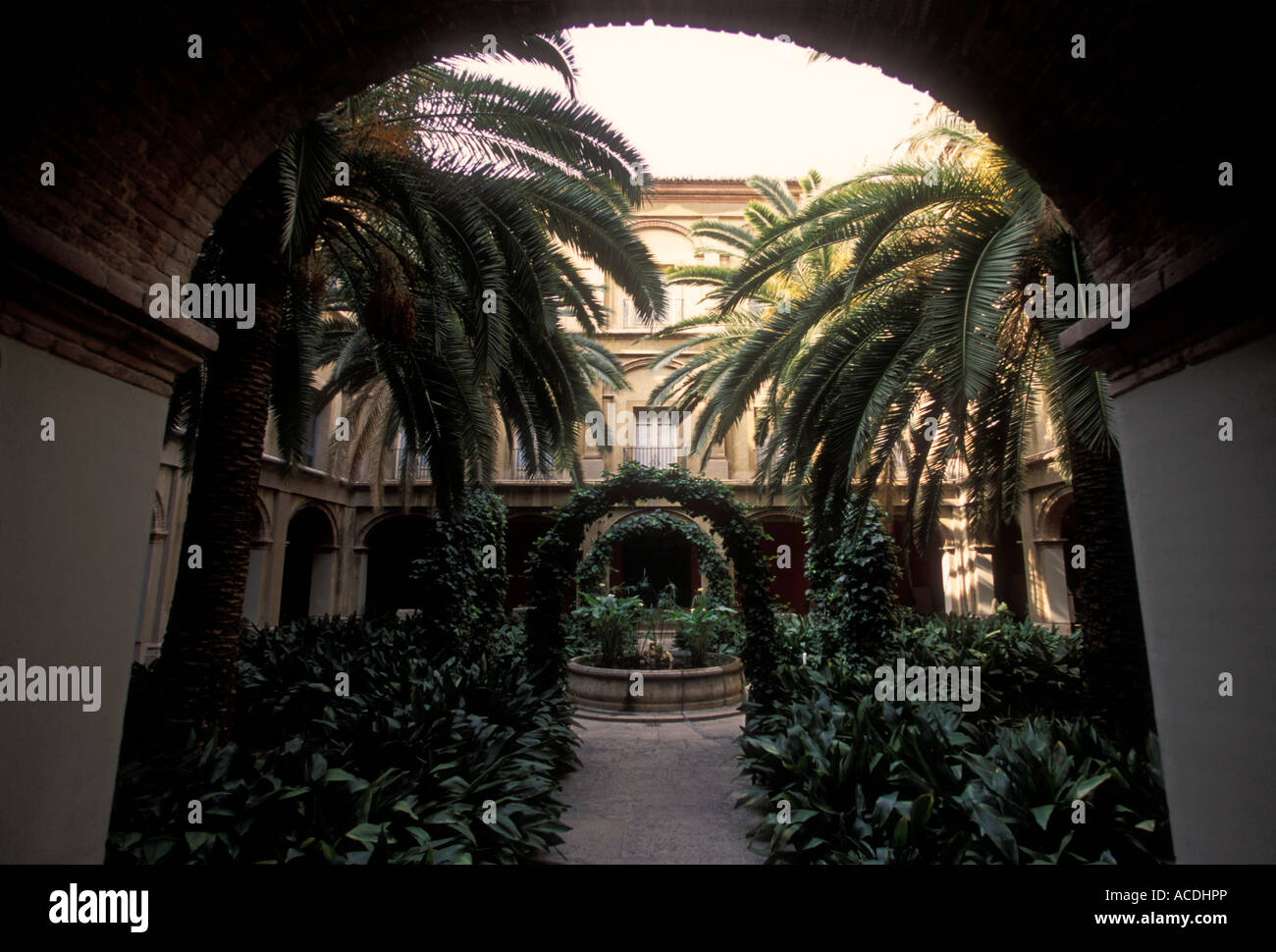 garden, gardens, inner courtyard, patio, Museum of Fine Arts, Museo de ...