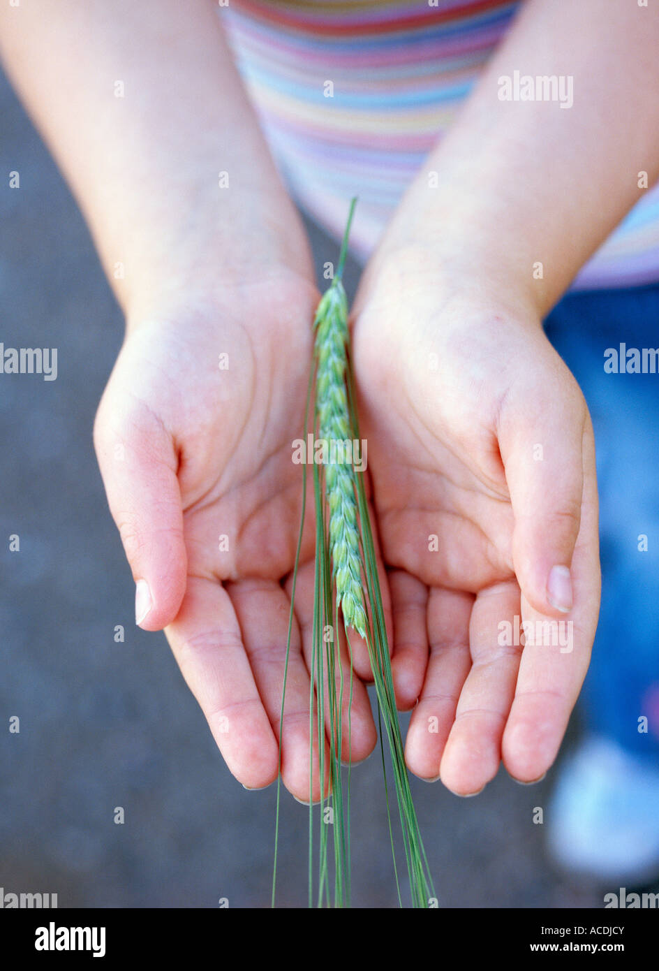 A pair of hands hi-res stock photography and images - Alamy