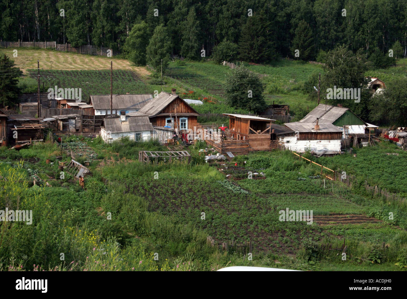 Family Farm in Siberia Russia with wooden buildings and metal roofs ...