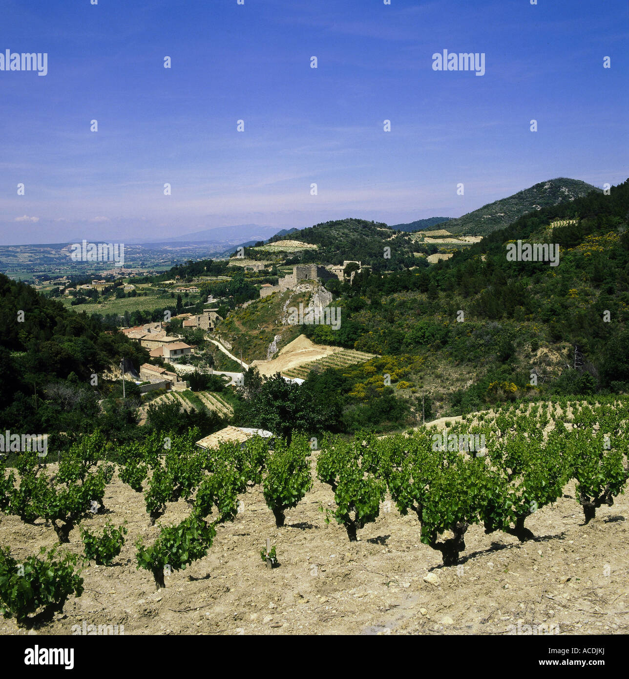 Provence winegrowing hi-res stock photography and images - Alamy