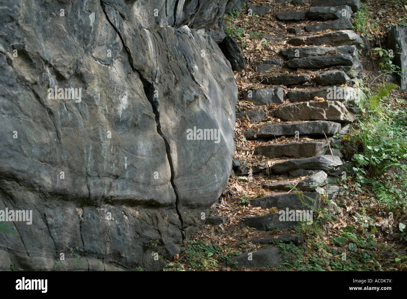 Stone steps and cliff face in woodlands near Savogno, Sondrio, Italy ...