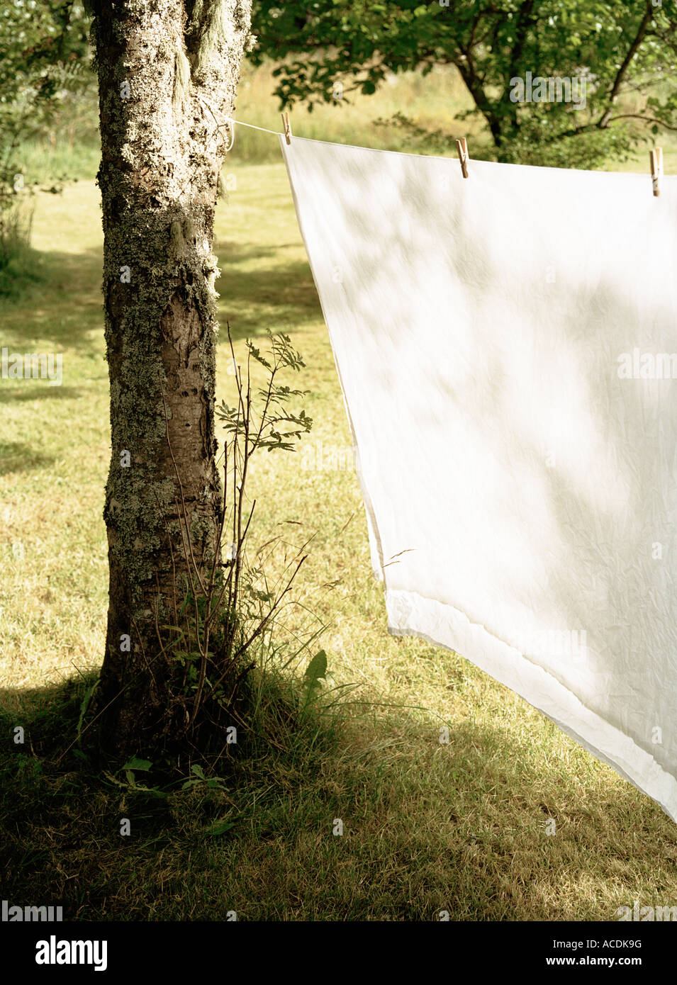 A sheet drying in a garden Stock Photo - Alamy