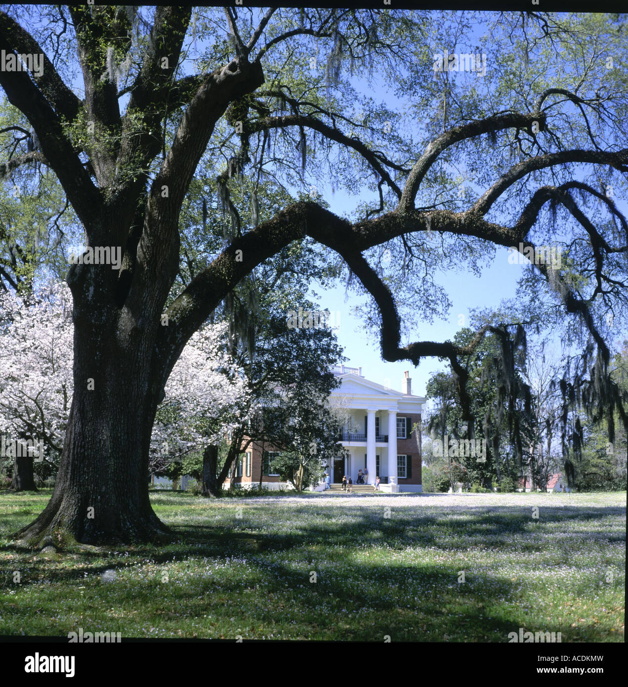 Exterior view with park antebellum hi-res stock photography and images ...