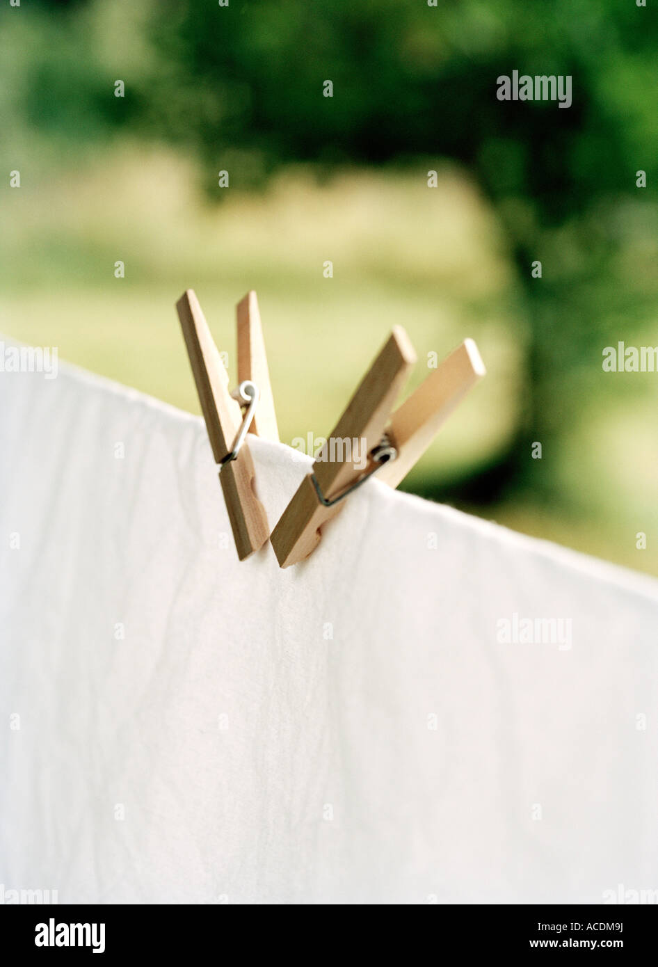 Clothes-pegs on laundry Stock Photo - Alamy