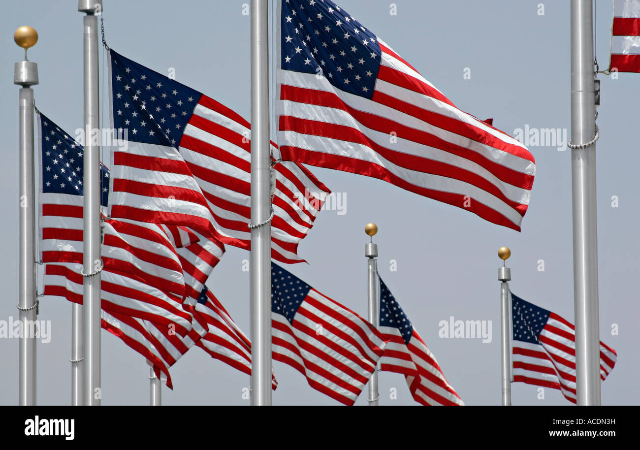 Group of American flags Stock Photo - Alamy