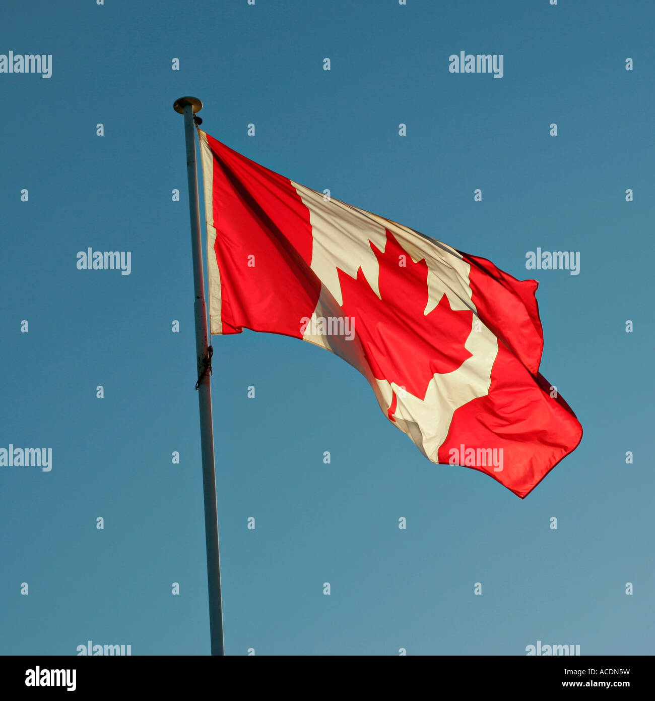 Backlit Canadian Flag with blue sky background Stock Photo - Alamy