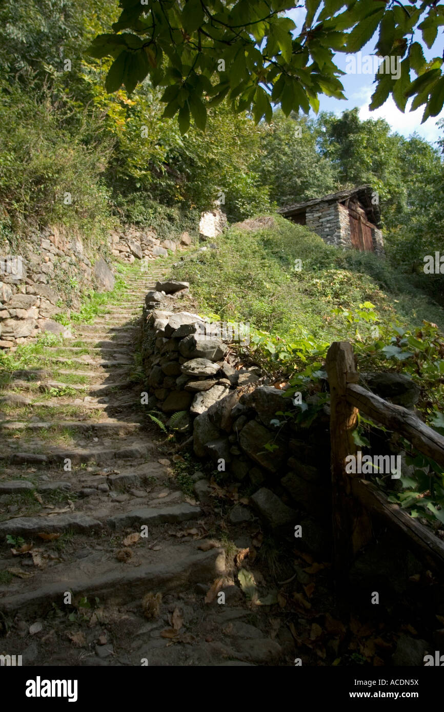 Steps of woodland path to a barn, Savogno, Sondrio, Italy Stock Photo ...