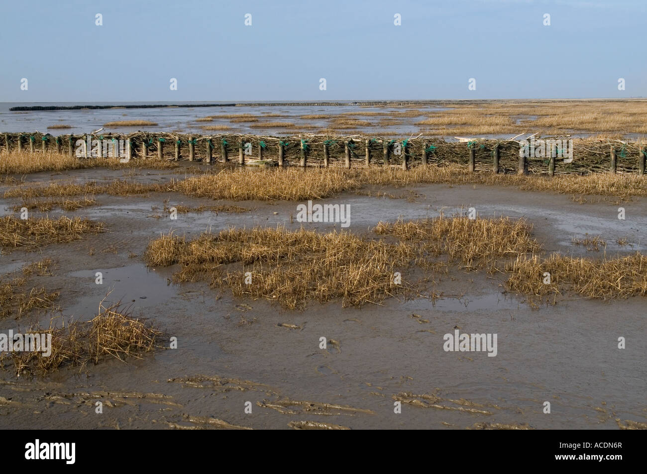 The Wadden Sea Near Ribe Denmark Stock Photo - Alamy