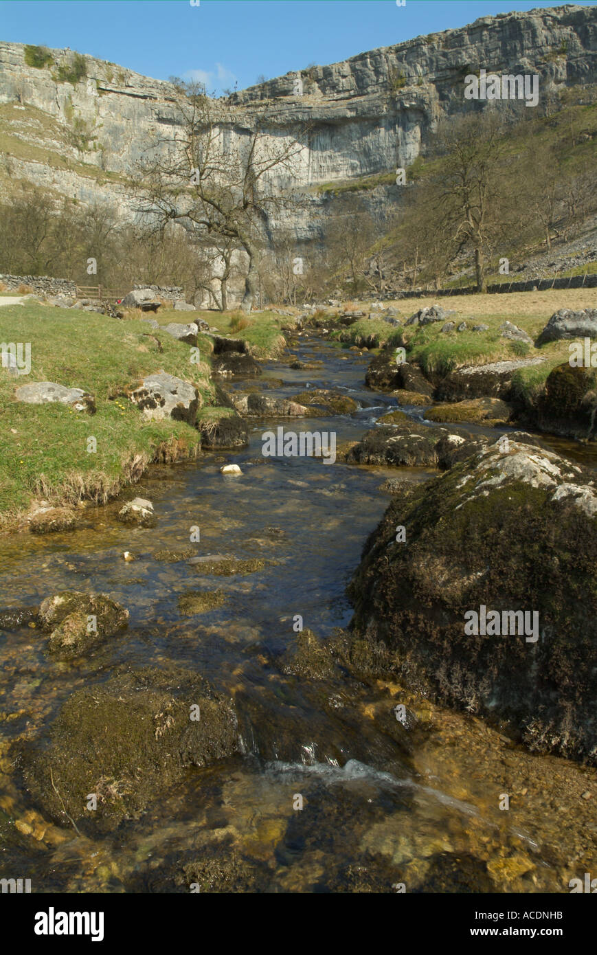 Yorkshire Dales National park Malham cove a vertical limestone cliff ...