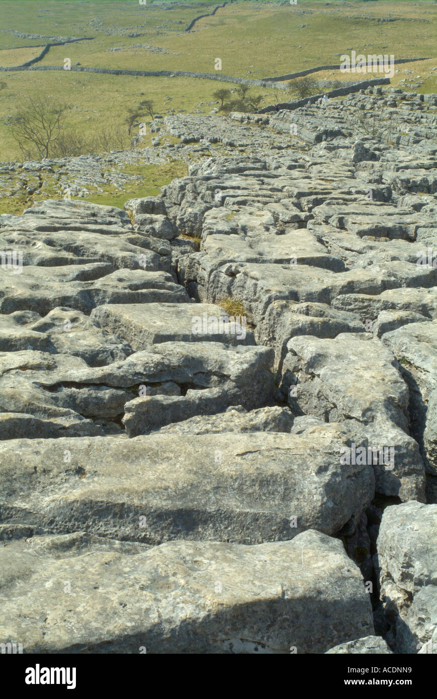 Yorkshire Dales National park Limestone pavement near Malham North ...
