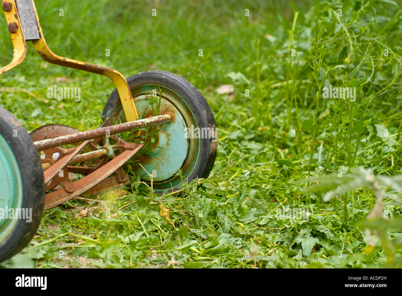 Push mowing hi-res stock photography and images - Alamy