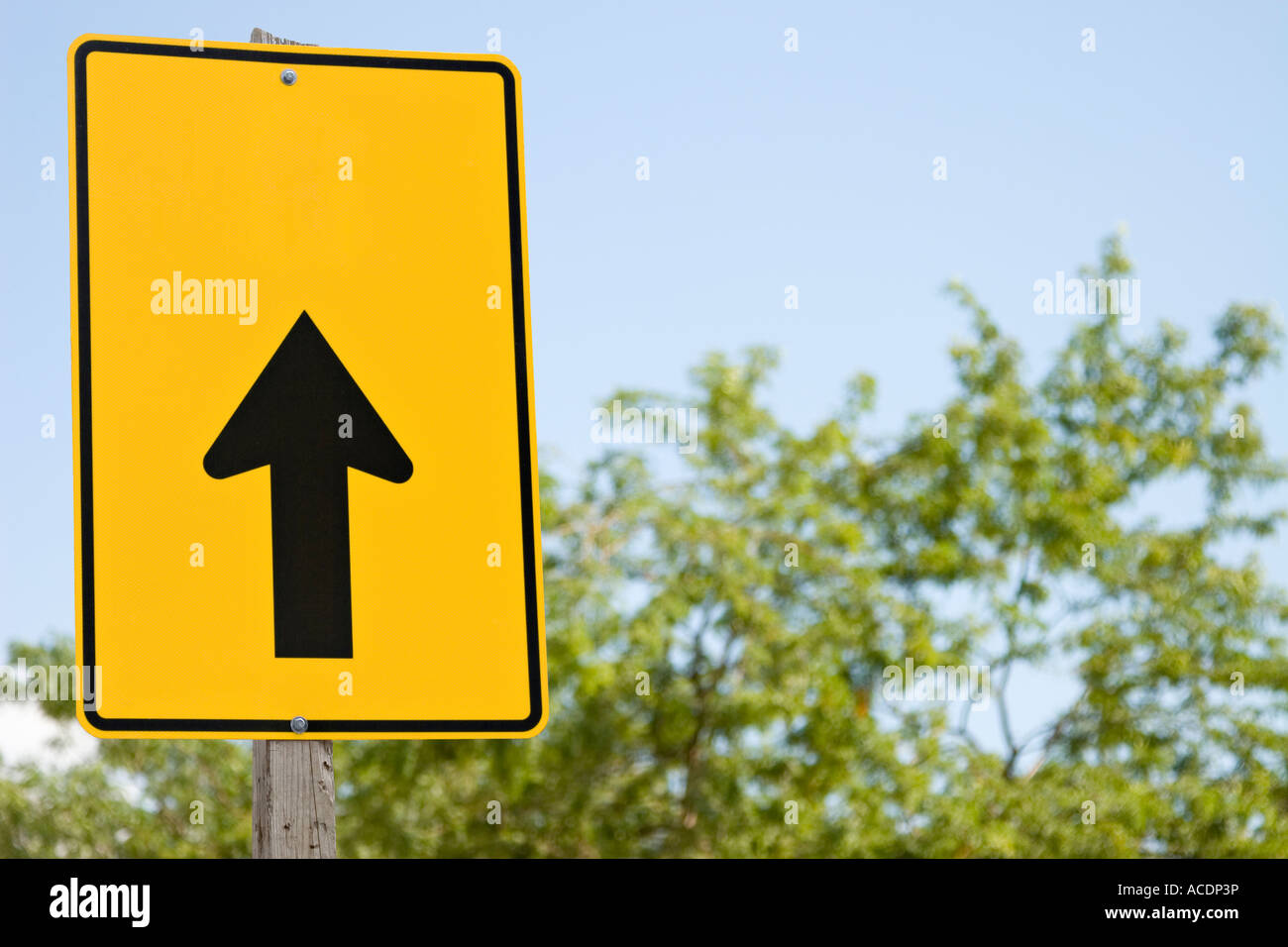 Blank yellow sign with arrow pointing ahead or up Stock Photo - Alamy