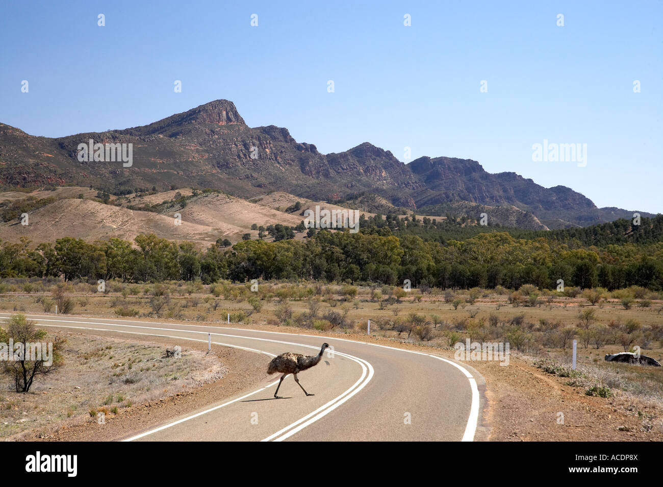 Emu Road and Wilpena Pound Flinders Ranges South Australia Australia ...