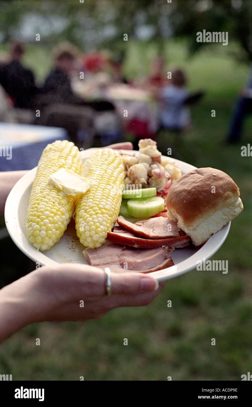 A deliciously prepared homestyle dinner Stock Photo - Alamy