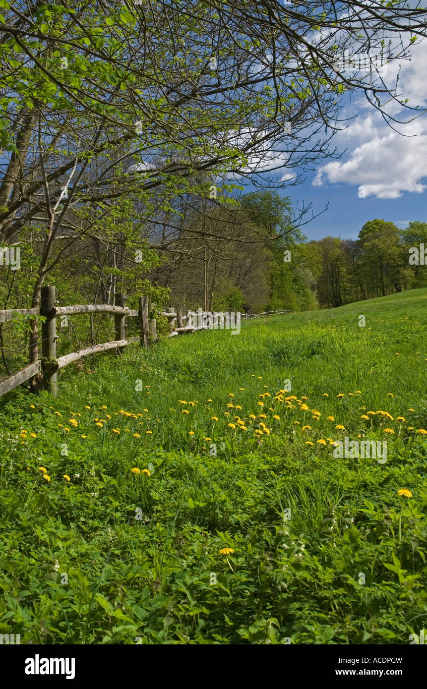Danish summer landscape Frederiksdal Zealand Denmark Stock Photo - Alamy