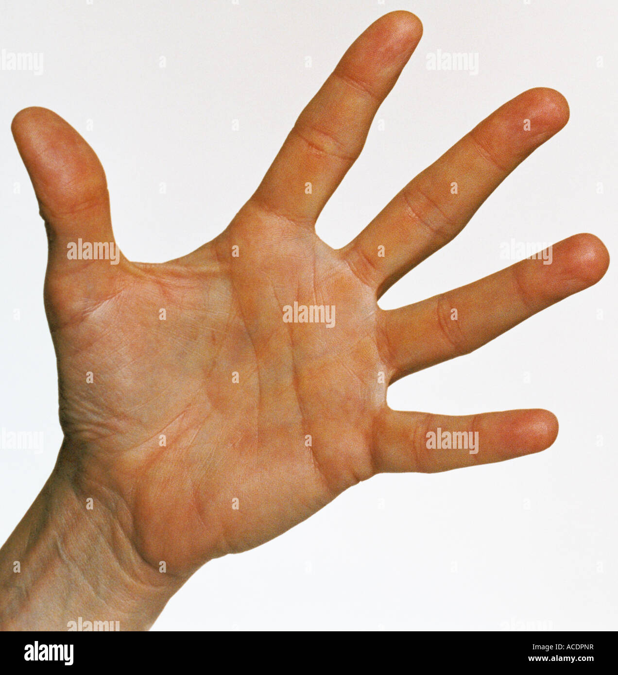 A hand on a white background Stock Photo - Alamy