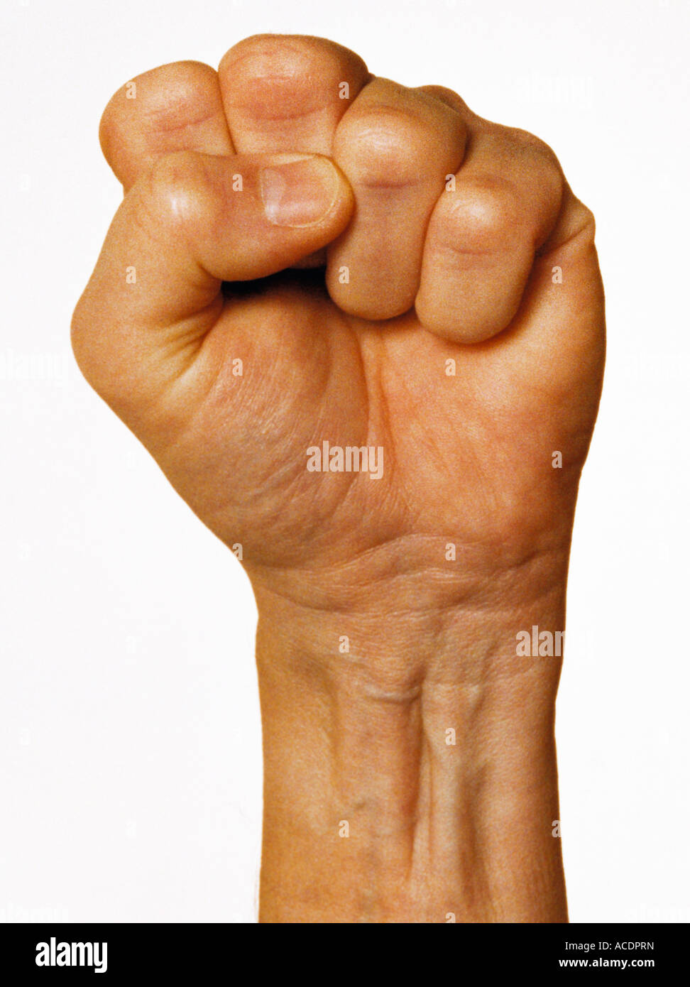 A closed hand on a white background Stock Photo - Alamy