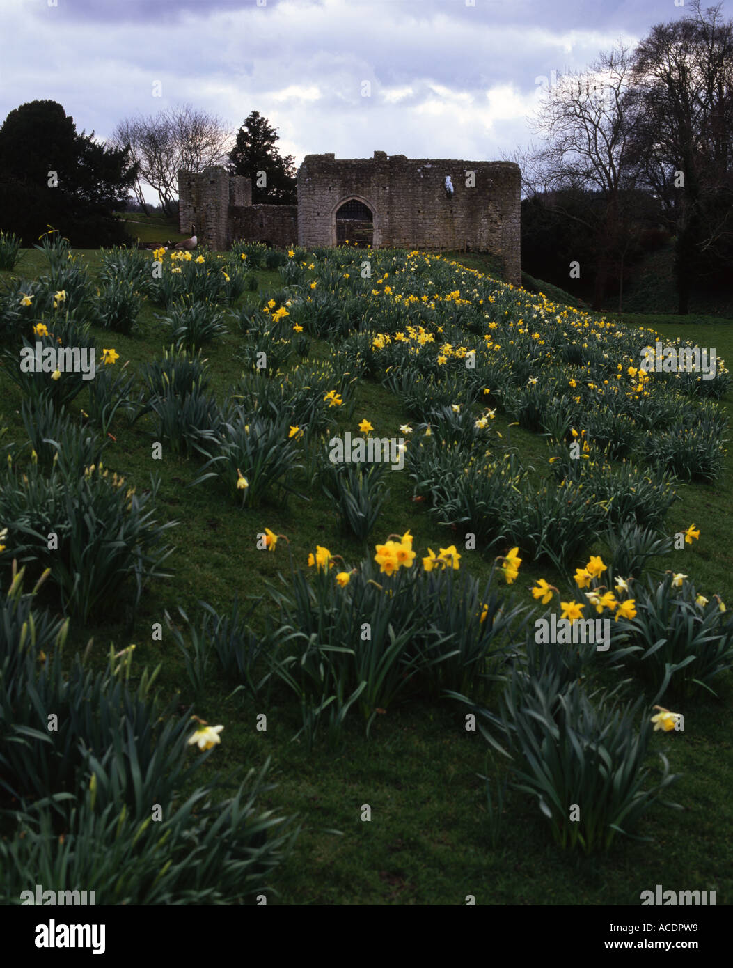 Leeds castle kent spring hi-res stock photography and images - Alamy