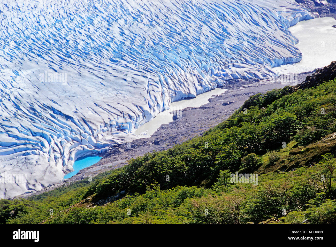 Margin of Great Southern Ice Cap Glacier, from Paso John Gardener ...