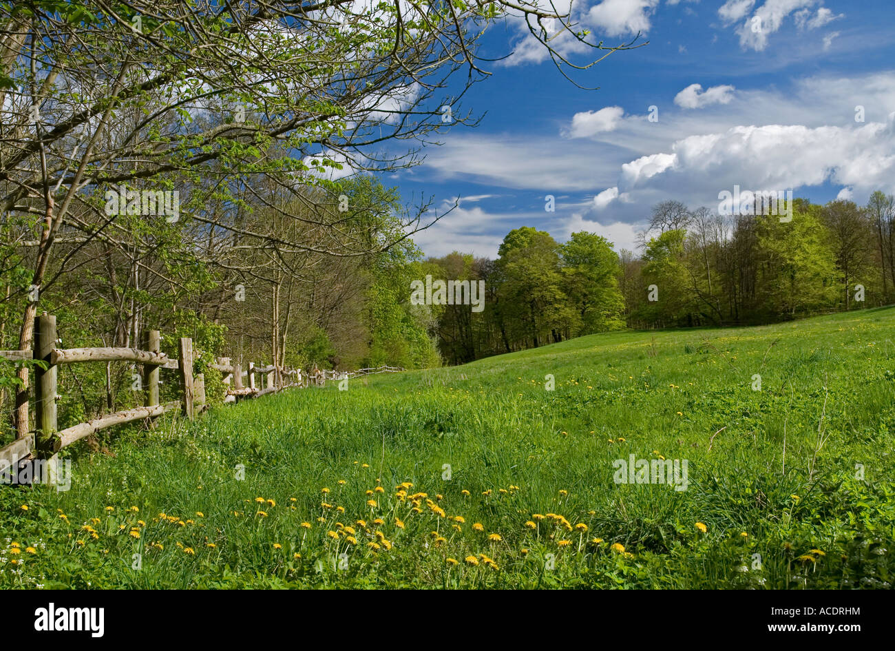 Danish summer landscape Fredriksdal Zealand Denmark Stock Photo - Alamy