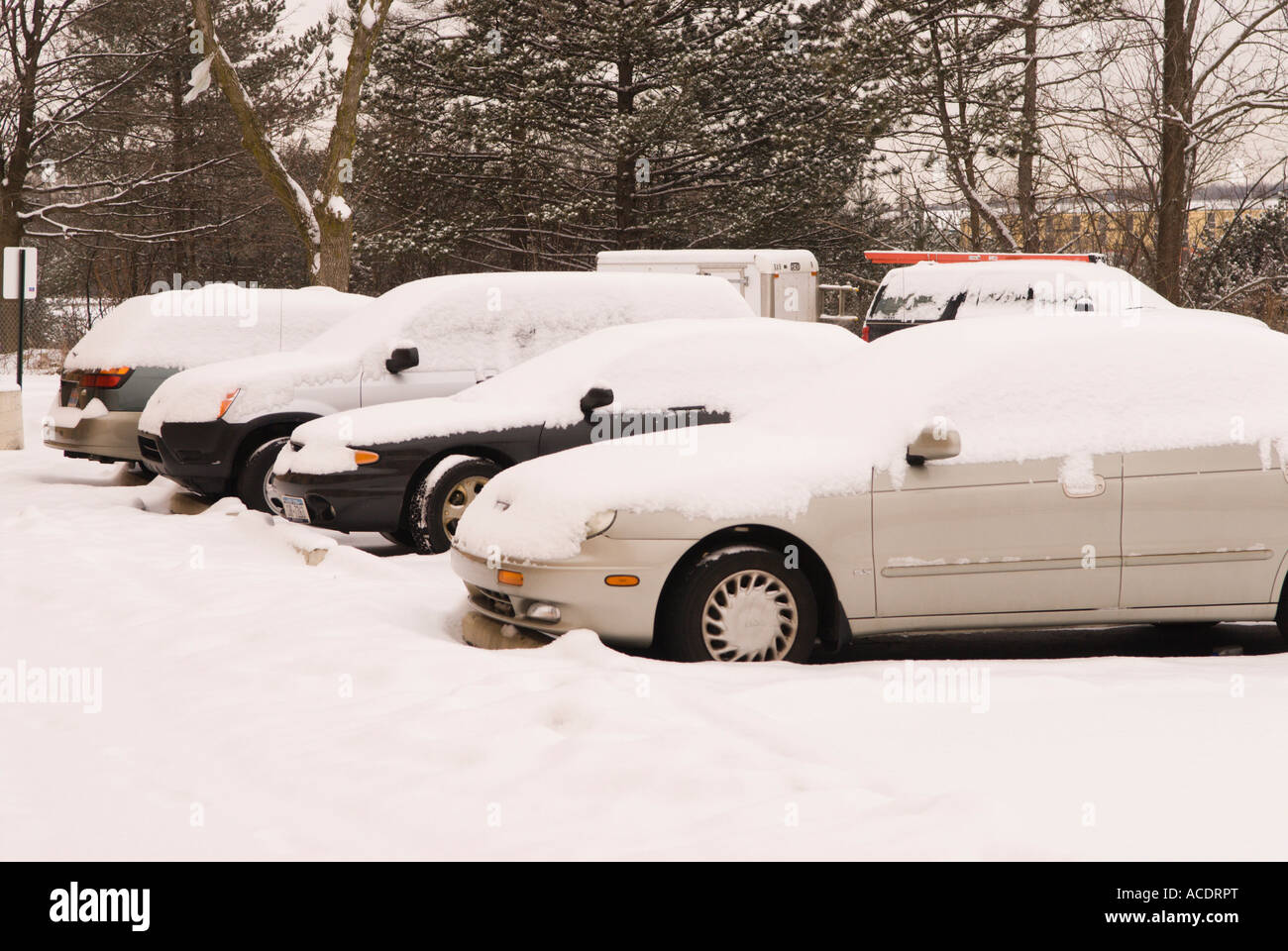 Snowfall in parking lot car park Ann Arbor Michigan USA Stock Photo - Alamy