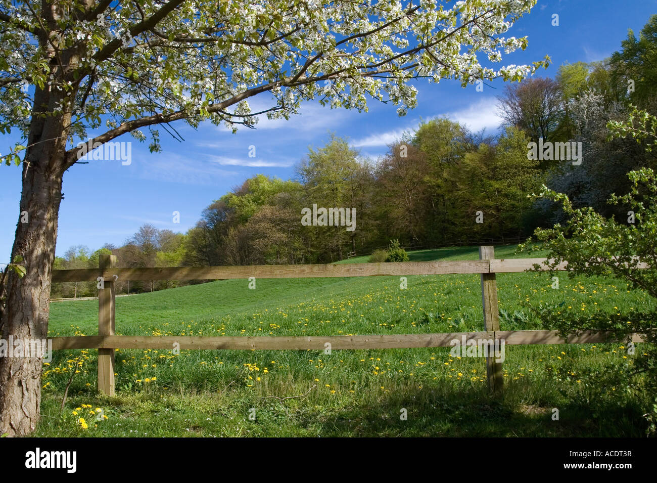 Danish summer landscape Frederiksdal Zealand Denmark Stock Photo - Alamy