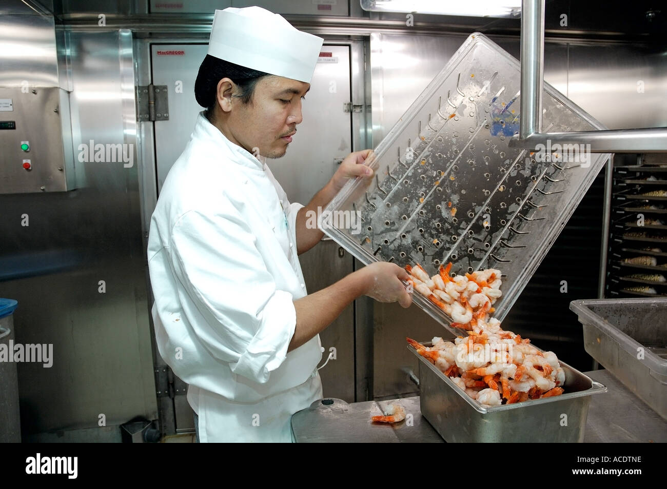 Filipino cook sorting shrimp, Queen Mary 2 galley Stock Photo - Alamy