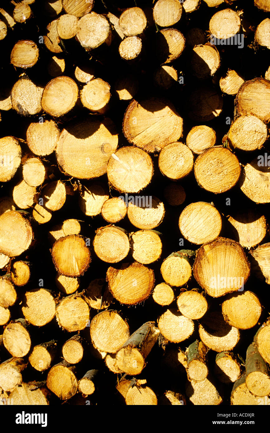 Cut and staked lumber Stock Photo - Alamy