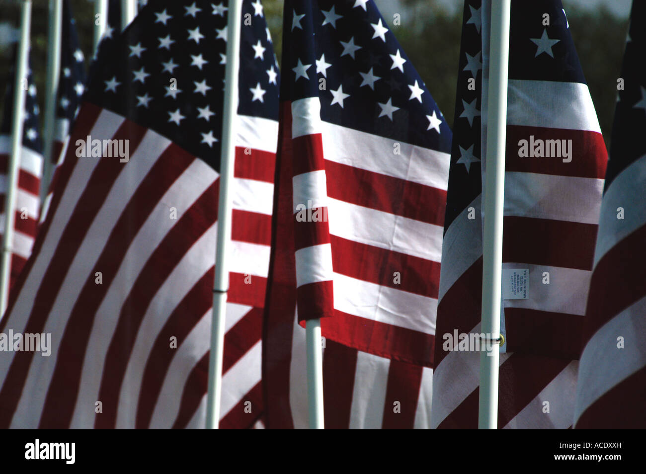 Flags celebrating veterans day hi-res stock photography and images - Alamy