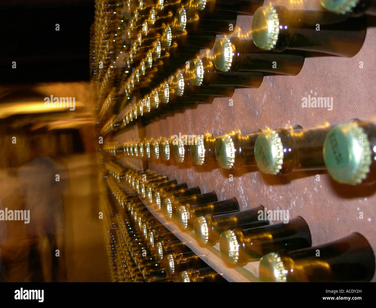 cava sparkling champagne style wine cellar Stock Photo - Alamy