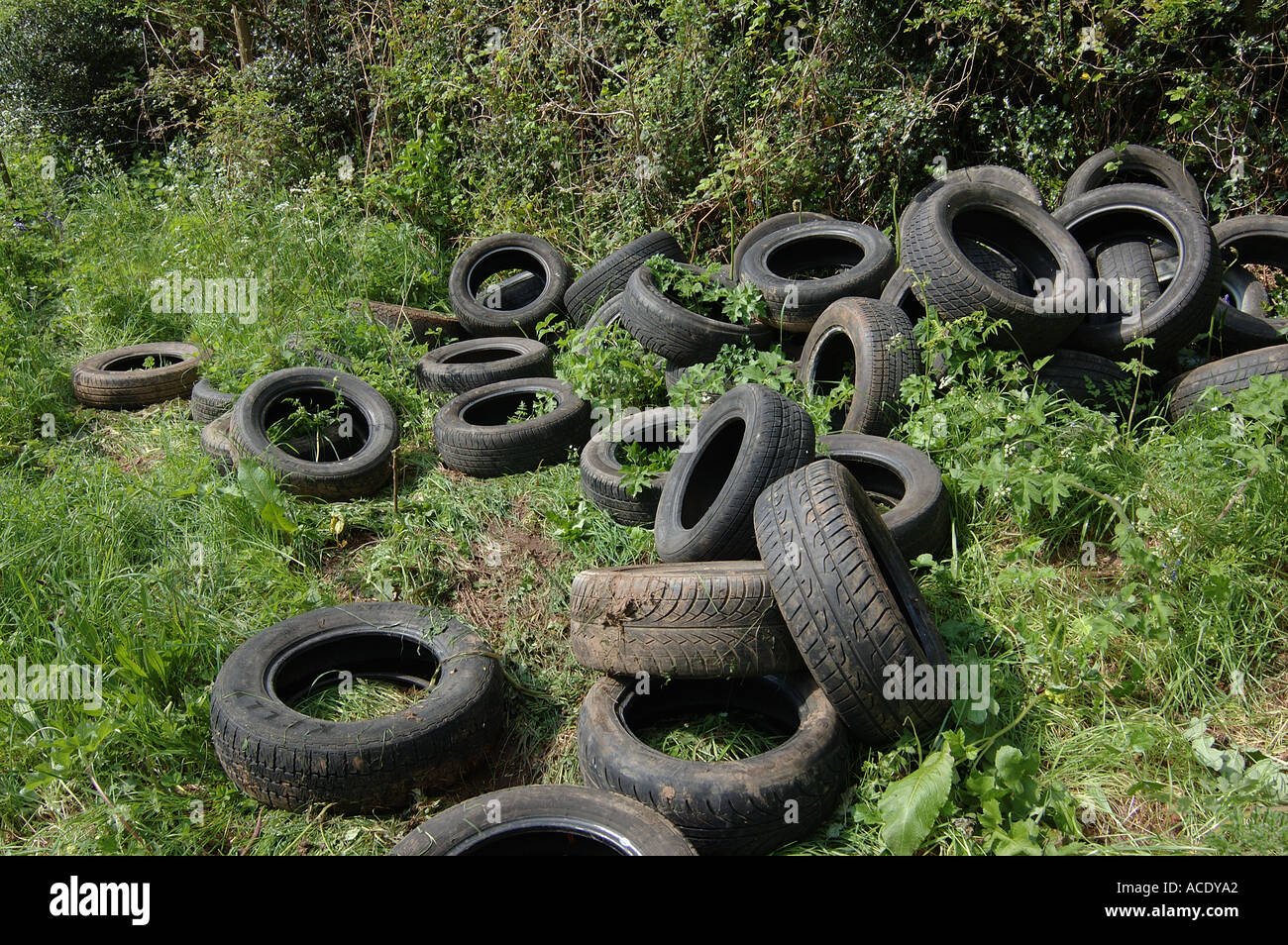 Illegally Dumped Tires High Resolution Stock Photography and Images - Alamy