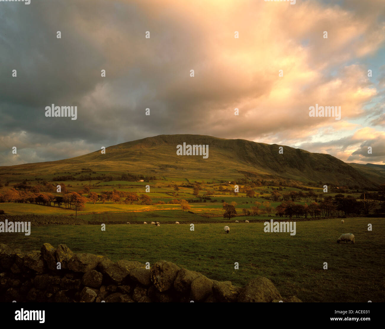 Lake District Cumbria England Stock Photo - Alamy