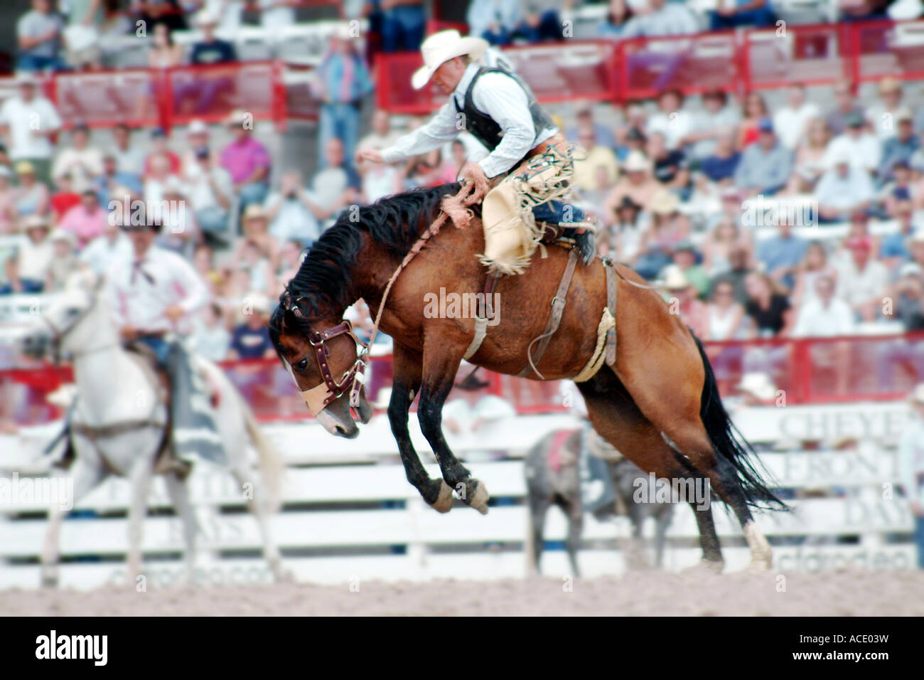 cowboy in action on a horse at a rodeo. town cheyenne, wyoming, usa ...