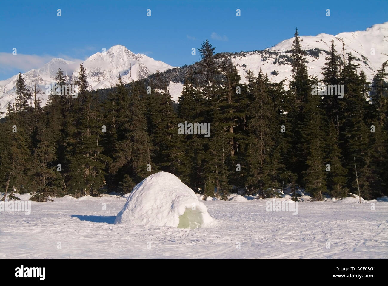 Igloo sits in Glacier Valley Girdwood Southcentral Alaska Winter Stock ...