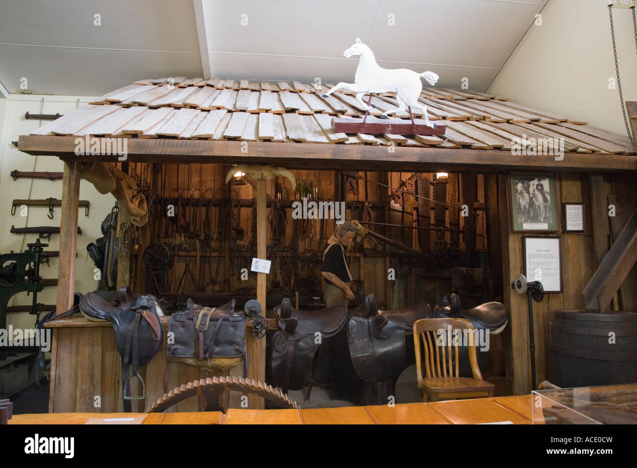 Kauri Gum High Resolution Stock Photography and Images - Alamy