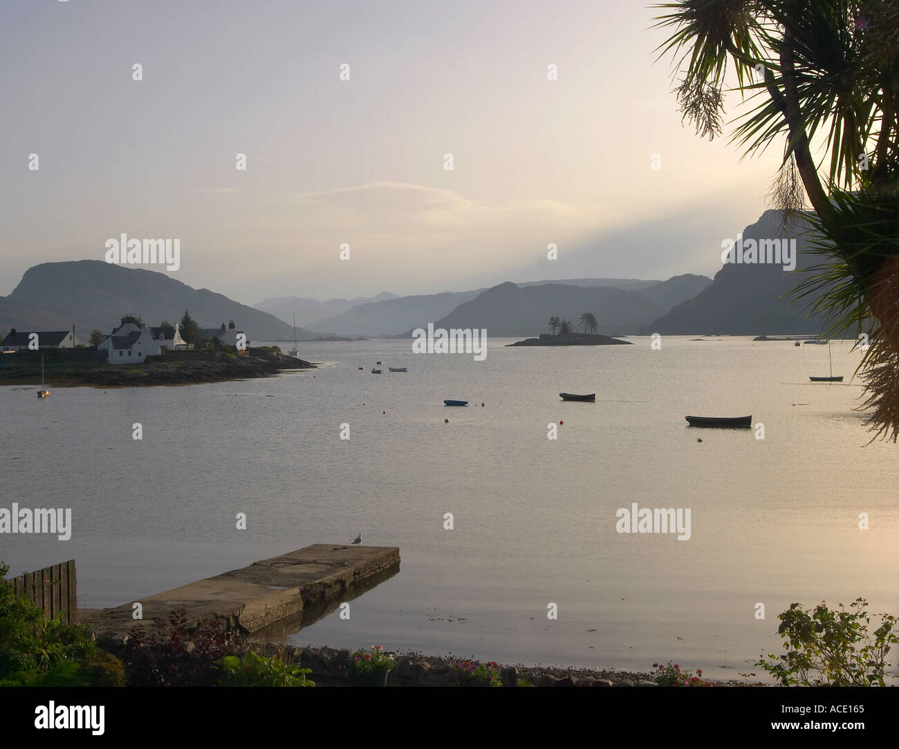 Plockton palm trees hi-res stock photography and images - Alamy