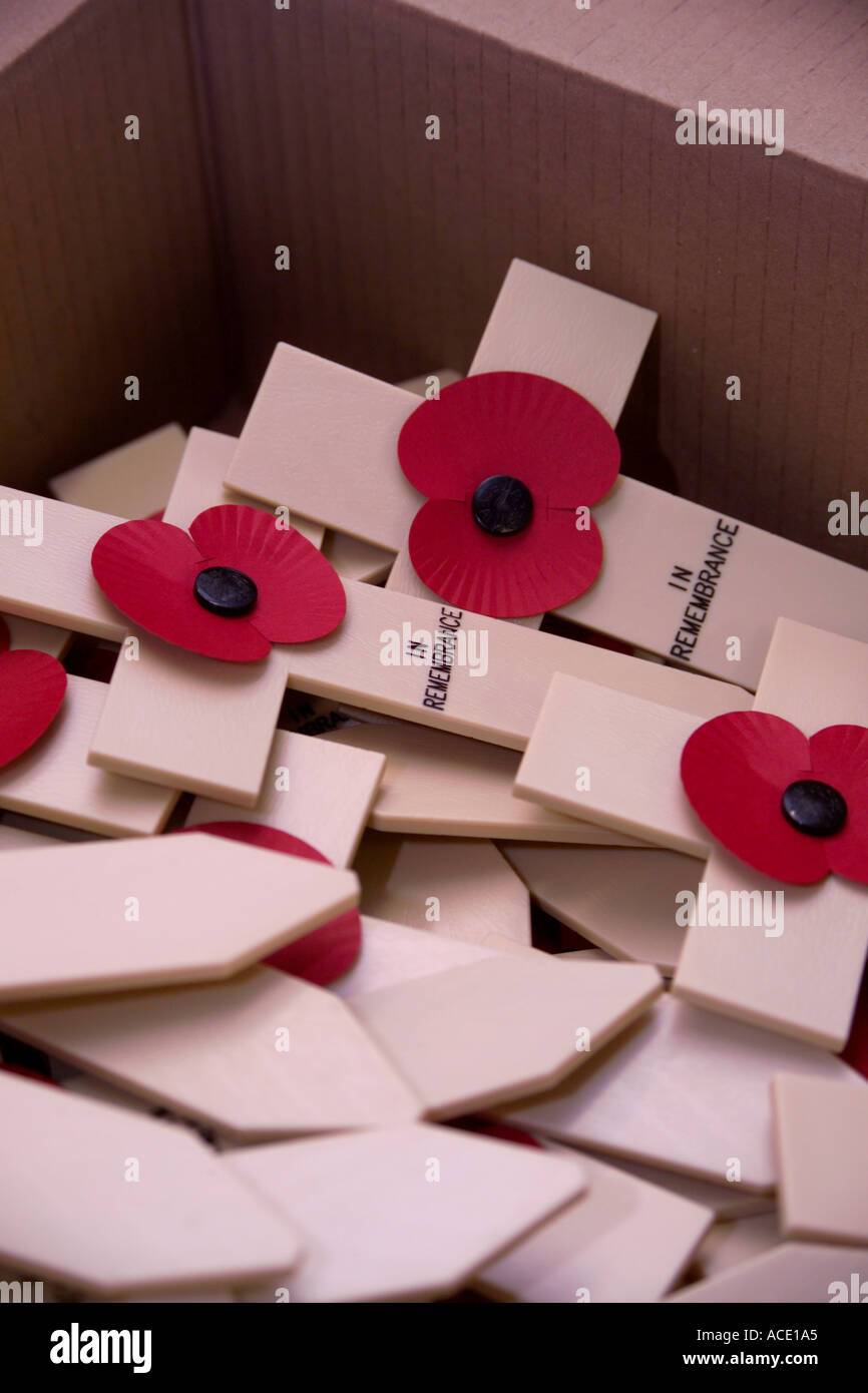 Muslim girls computer hi-res stock photography and images - Alamy