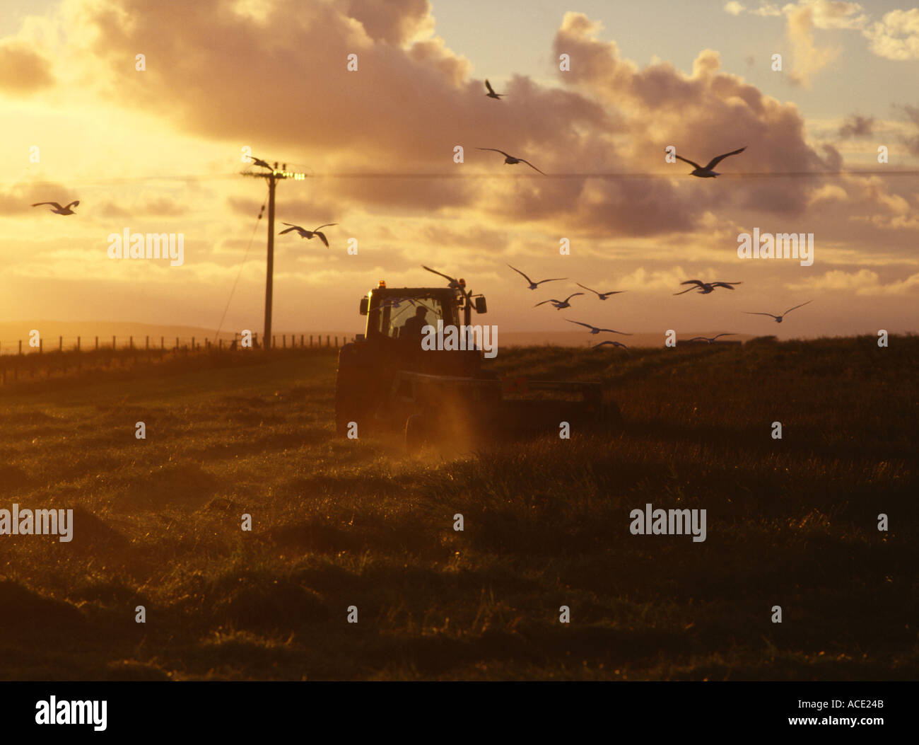 Sunset farm scotland tractor hi-res stock photography and images - Alamy