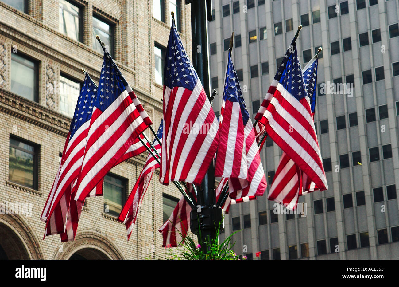 US American flags adorn buildings in New York City, USA Stock Photo - Alamy