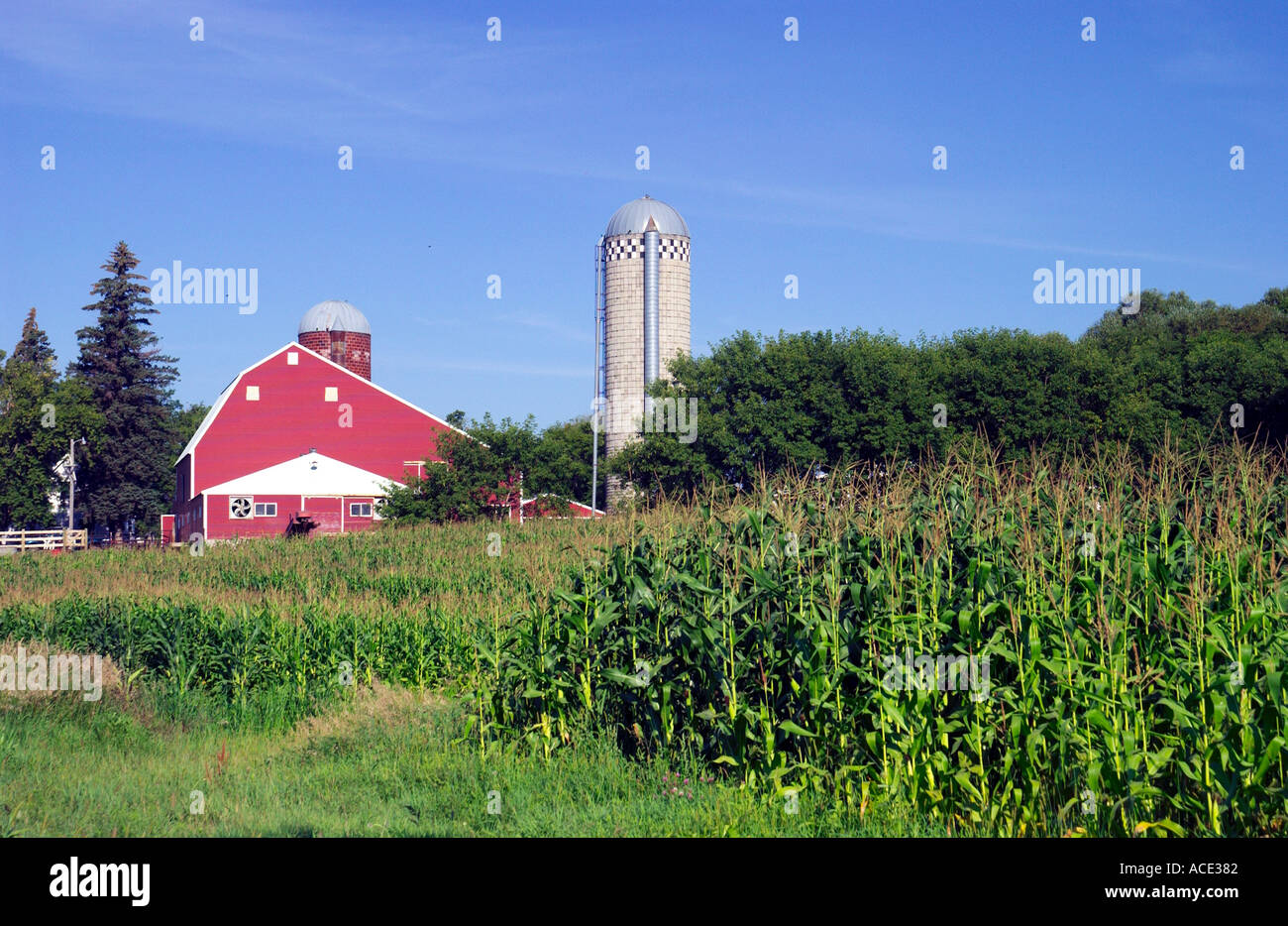 Minnesota Dairy Farms at Iva Blackburn blog