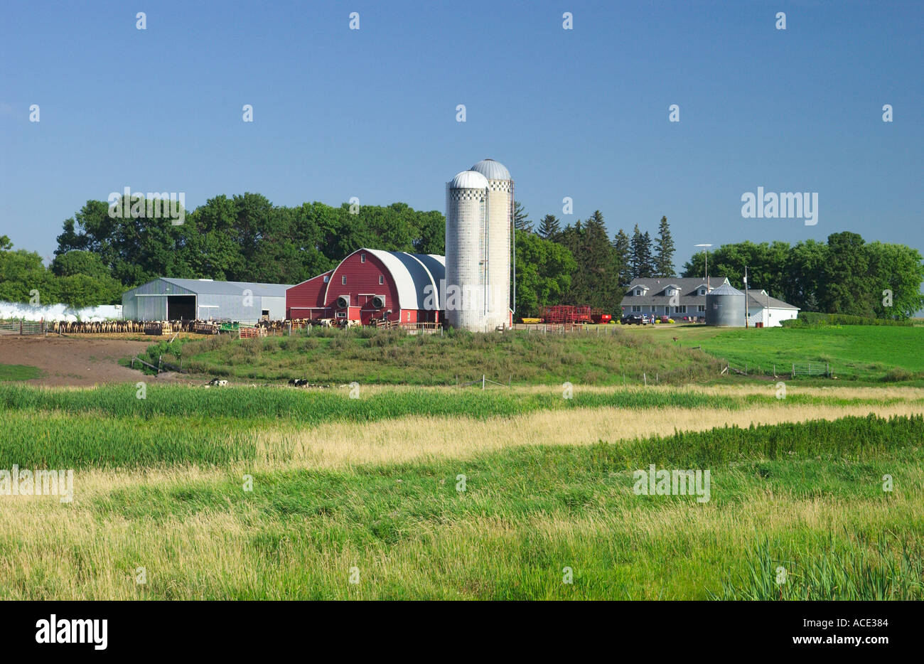 A rural scene with dairy farm in rural Minnesota USA Stock Photo - Alamy