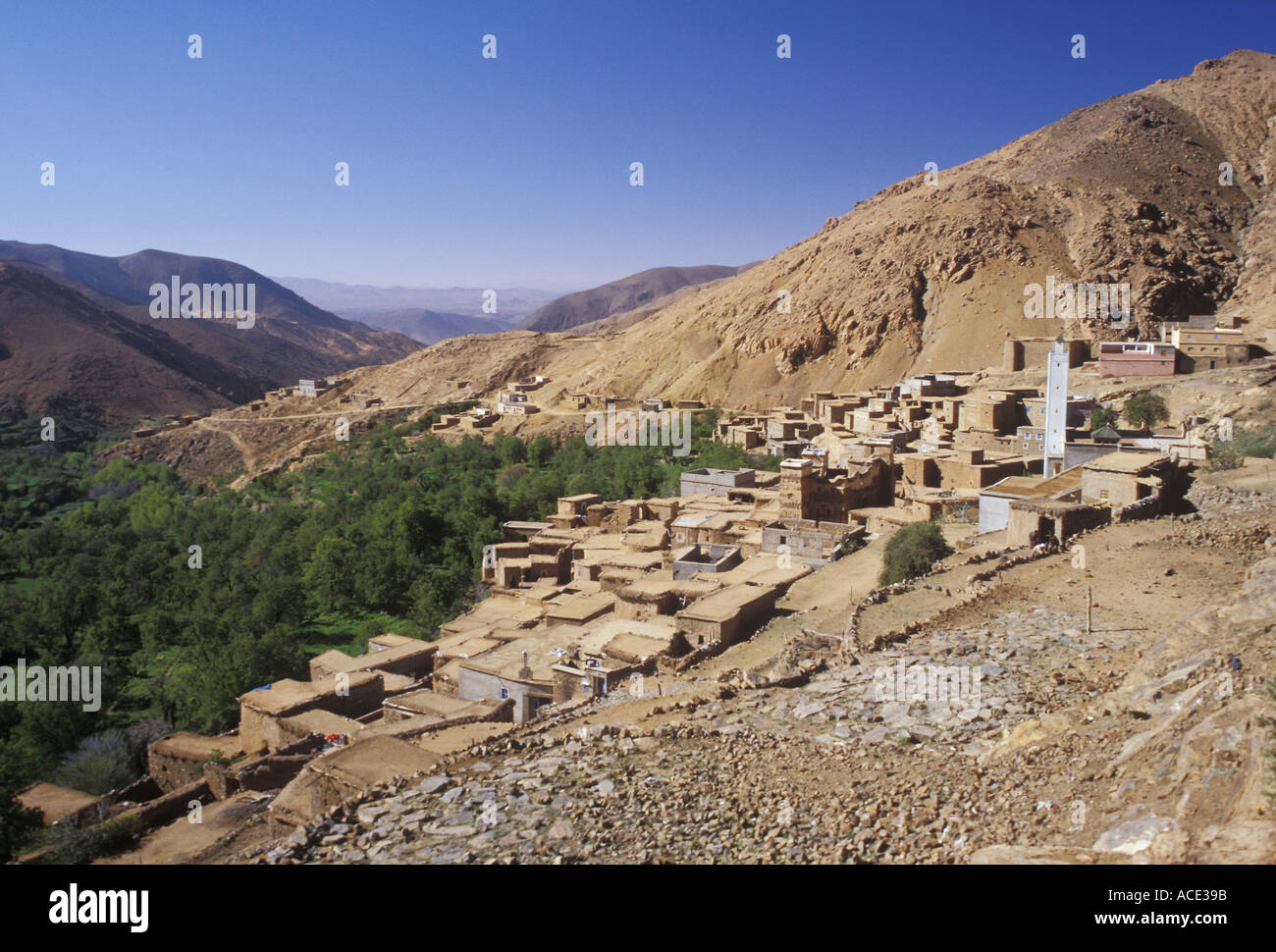 Iddr hi-res stock photography and images - Alamy