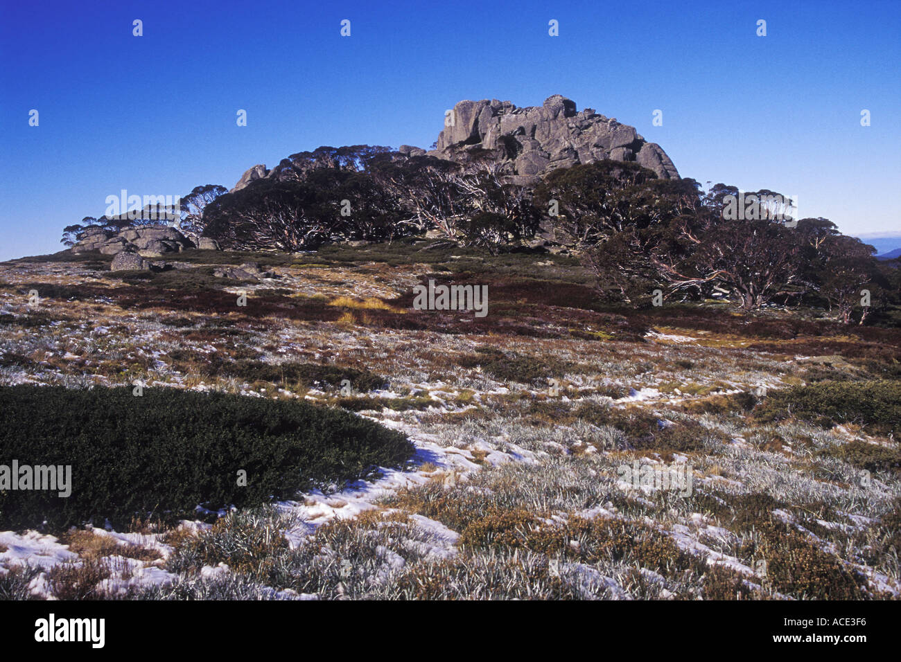 Snowy mountains summer australia hi-res stock photography and images ...