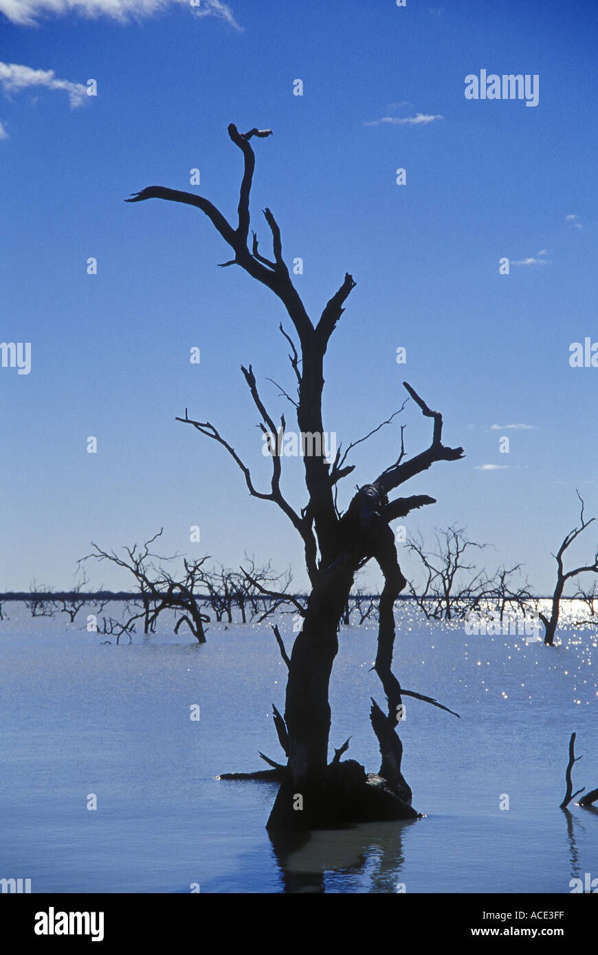 Kinchega national park hi-res stock photography and images - Alamy