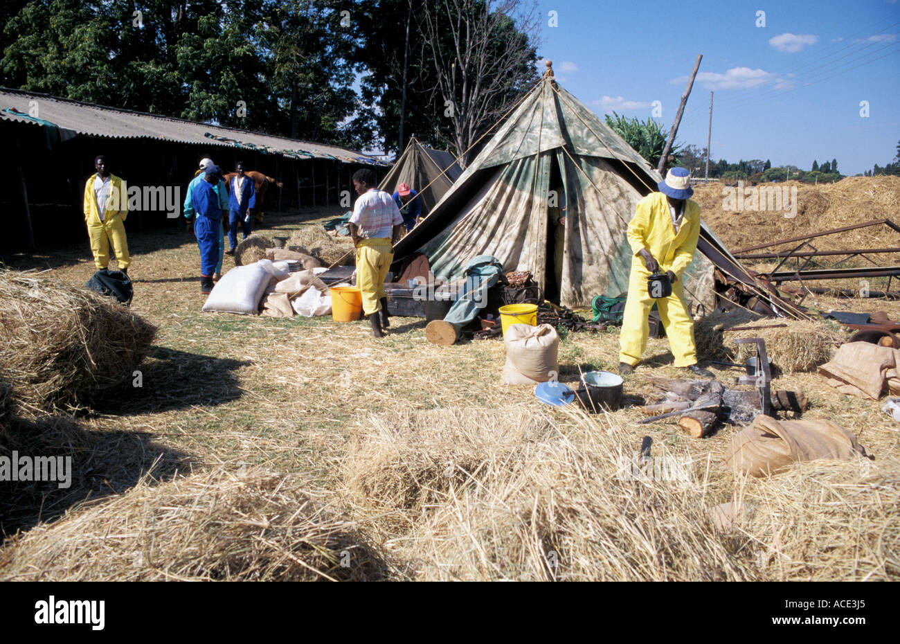 Zimbabwe green building hi-res stock photography and images - Alamy