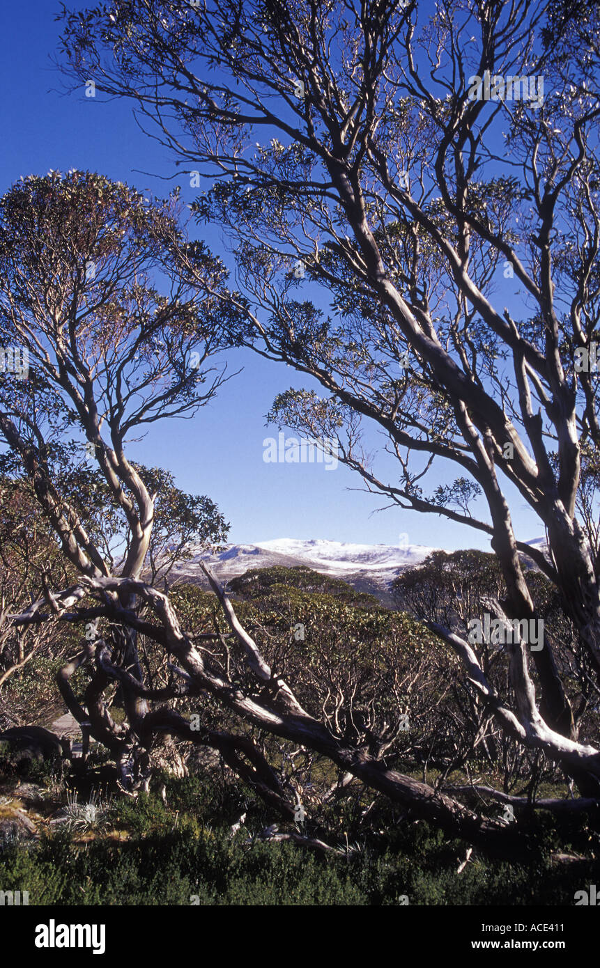 Snowy Mountains Australia Stock Photo - Alamy