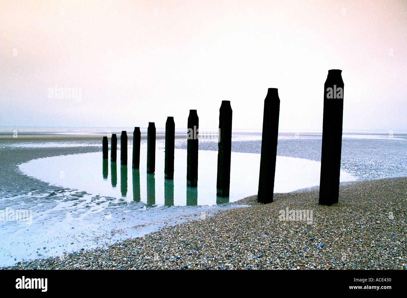 Groynes on a beach in Camber East Sussex southern England UK Stock ...