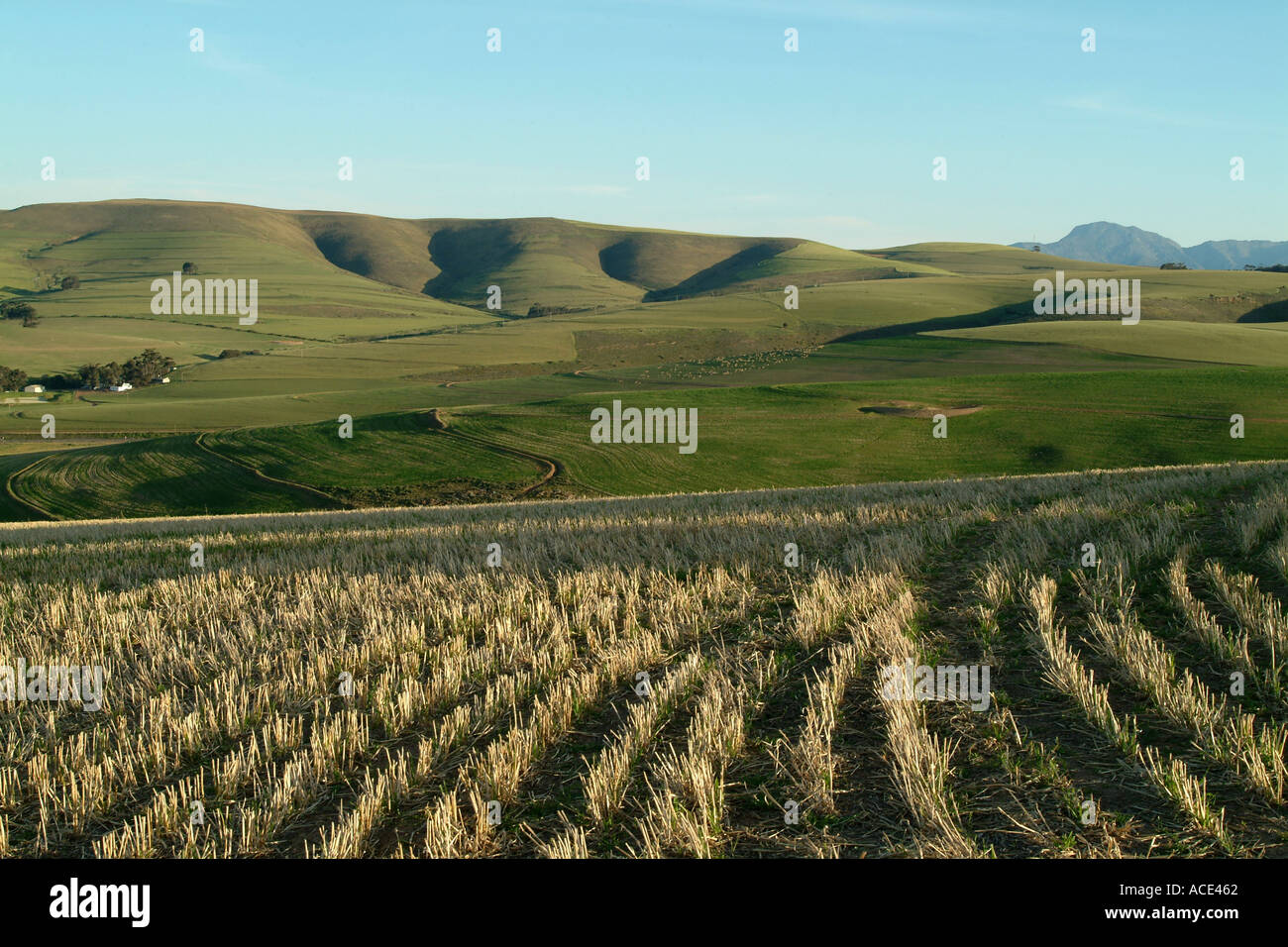 Farming fields overberg landscape scenic hi-res stock photography and ...