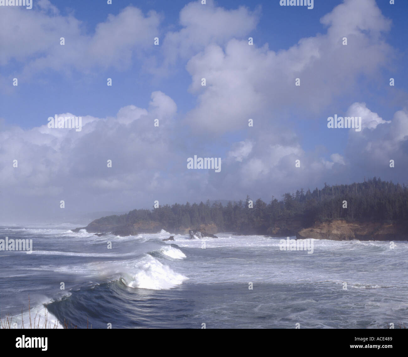Boiler Bay State Park on the Central Oregon Coast Stock Photo - Alamy