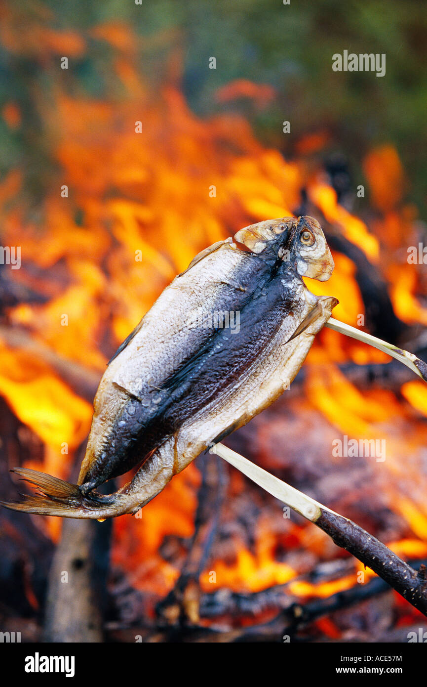 A grilled fish over open fire Stock Photo - Alamy